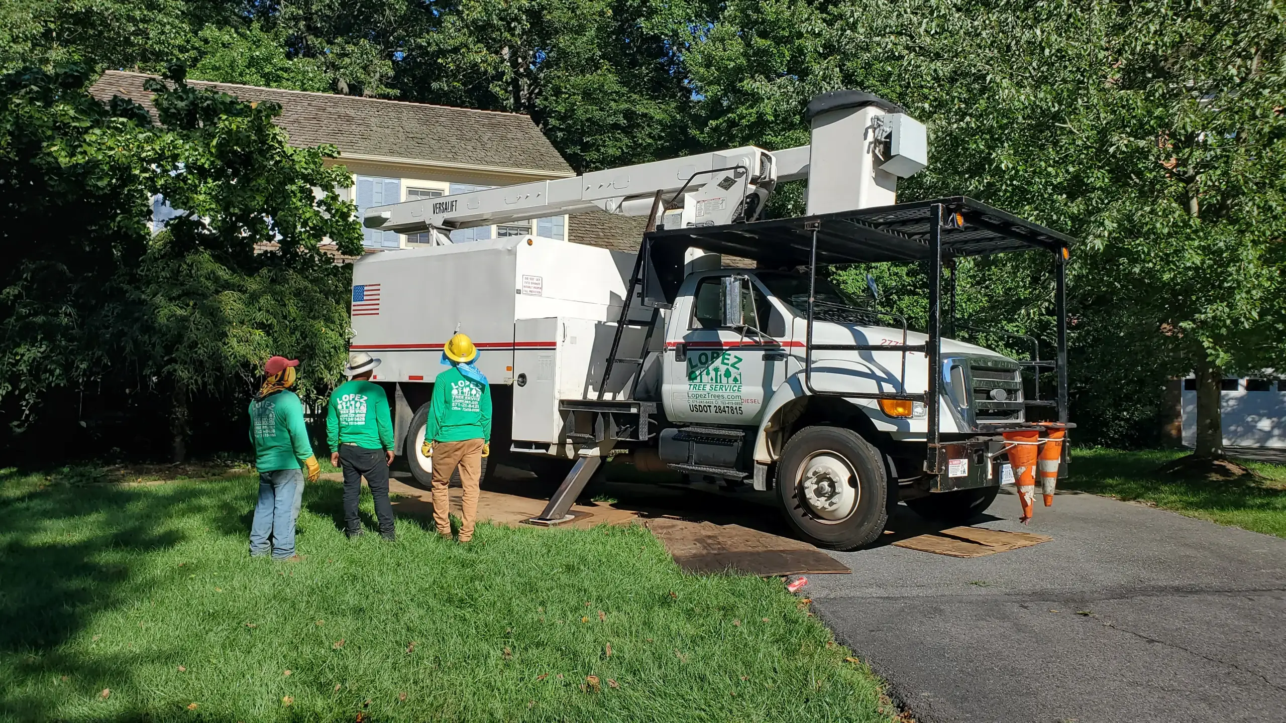 Professional Tree Services | Lopez Tree Services